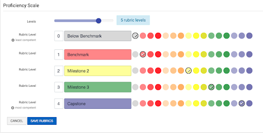 Proficiency Scales in Higher Education: Supporting Student Success and ...